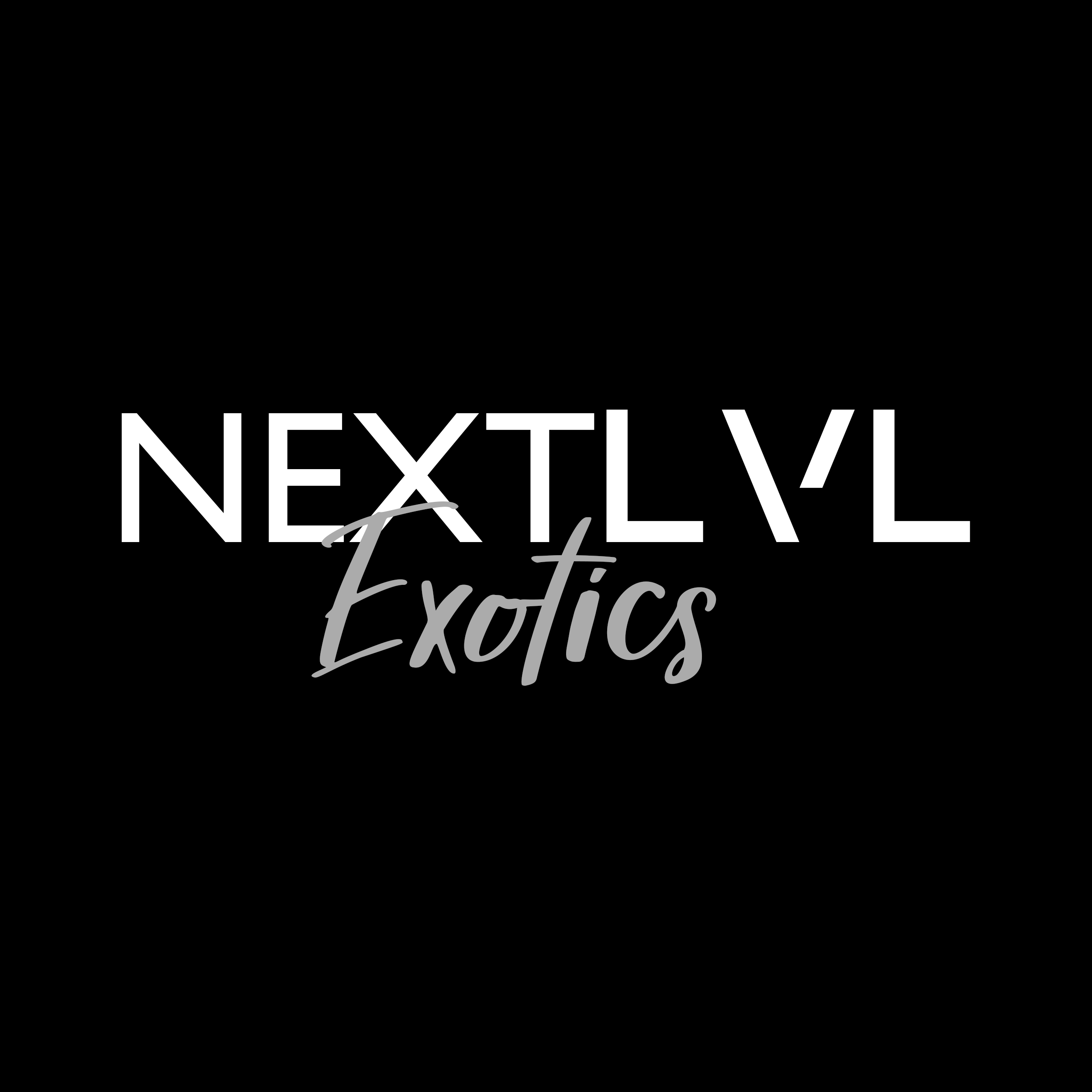Exotic Car Rental Chicago - Next LVL Exotics